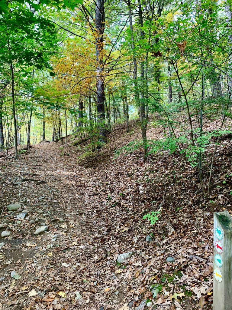 Wellesley hike: The trails were fragrant along Longfellow Pond - The ...