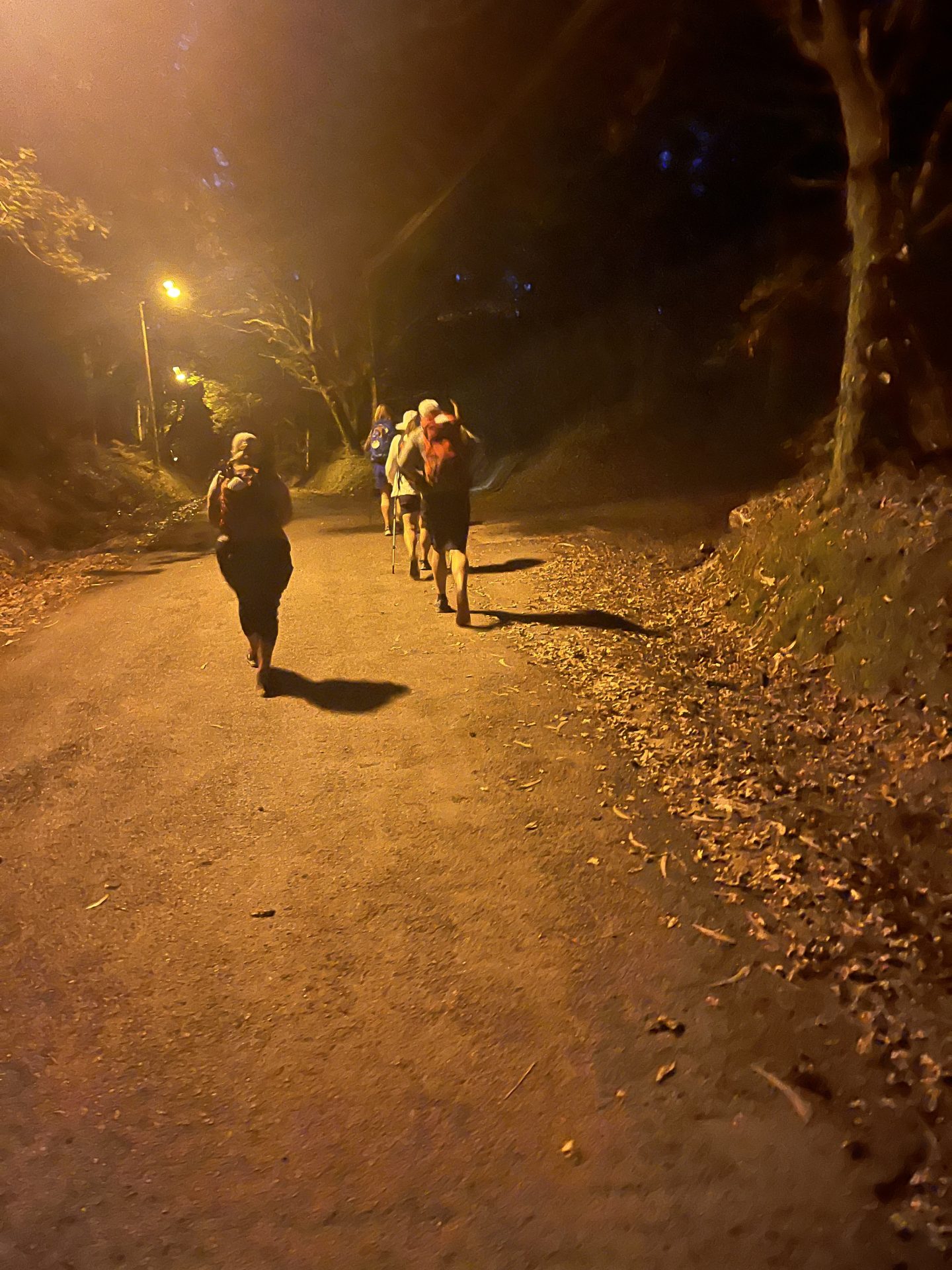 Wellesley charity news: Walking El Camino de Santiago for Parkinson's ...