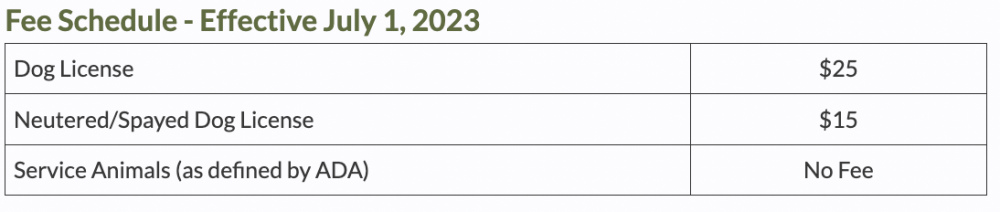 Wellesley dog license renewals begin on Jan. 1, 2025 - The Swellesley ...