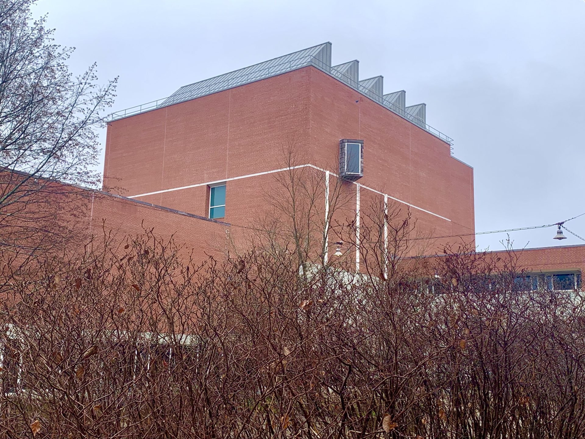 Davis Museum opening reception for spring exhibitions - The Swellesley Report