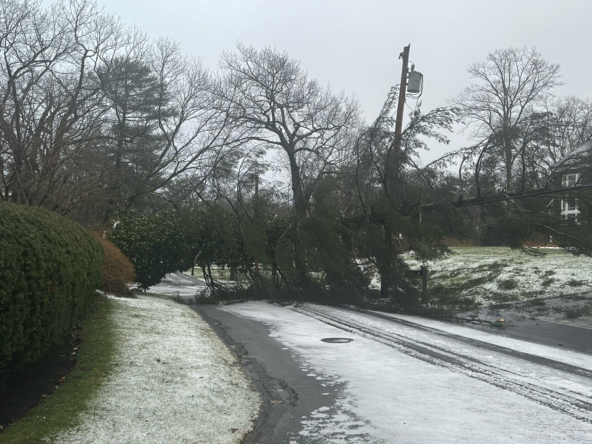 The Swellesley Report - Page 2 of 1877 - Since 2005: More than you ...