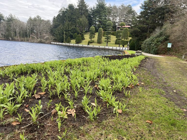 A return to Wellesley's entire Lake Waban path, at least for a day ...