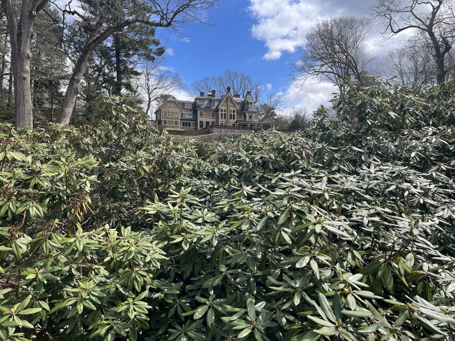 A return to Wellesley's entire Lake Waban path, at least for a day ...