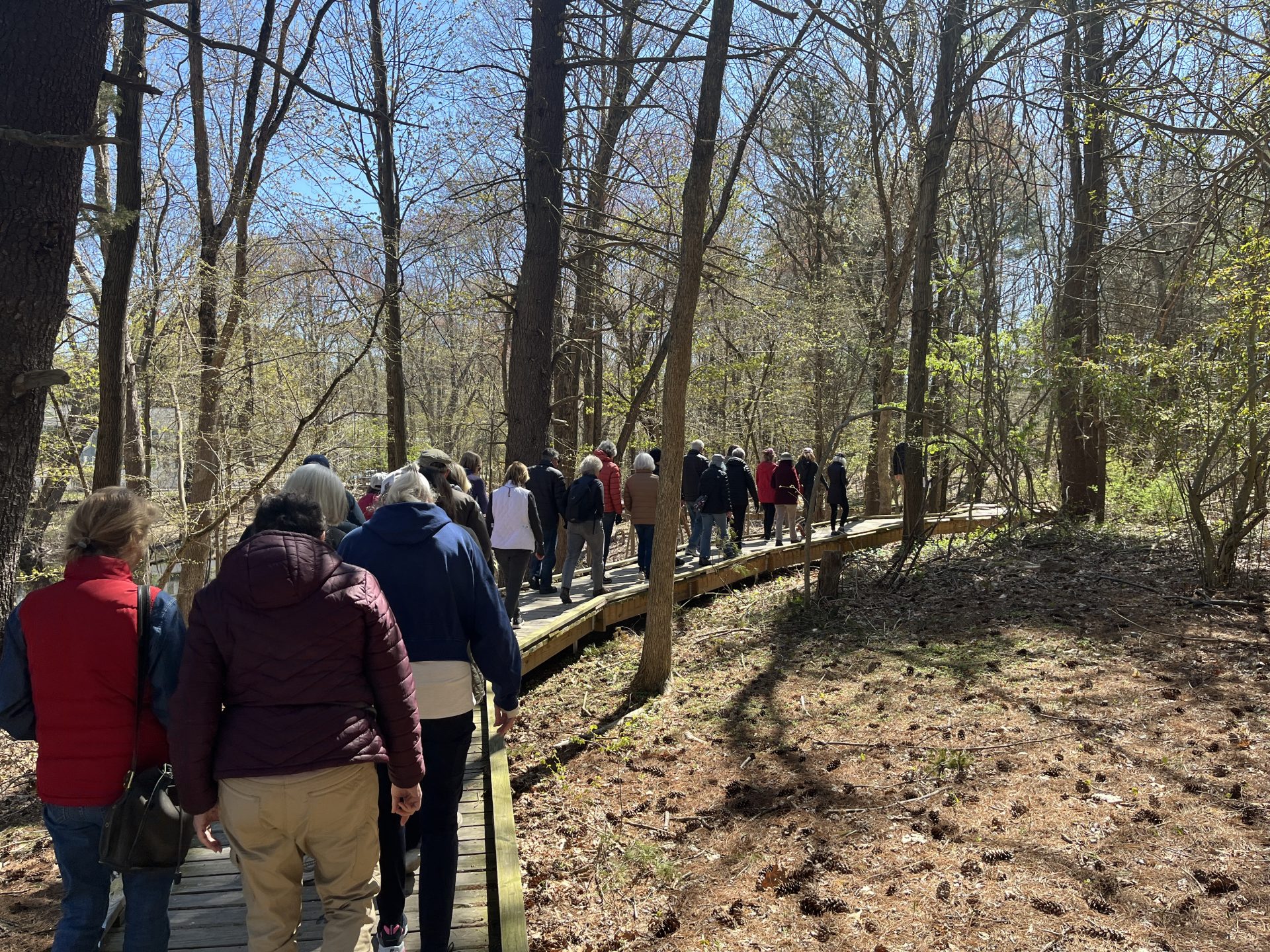 Wellesley North 40 trail walks draw Friday morning crowds; Girl Scouts ...