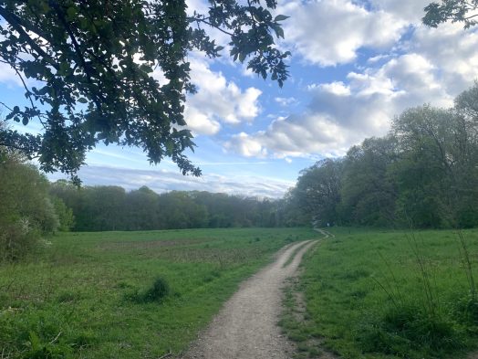 Take guided Mini-Grand Tour of Wellesley's trails on Saturday, June 6 ...