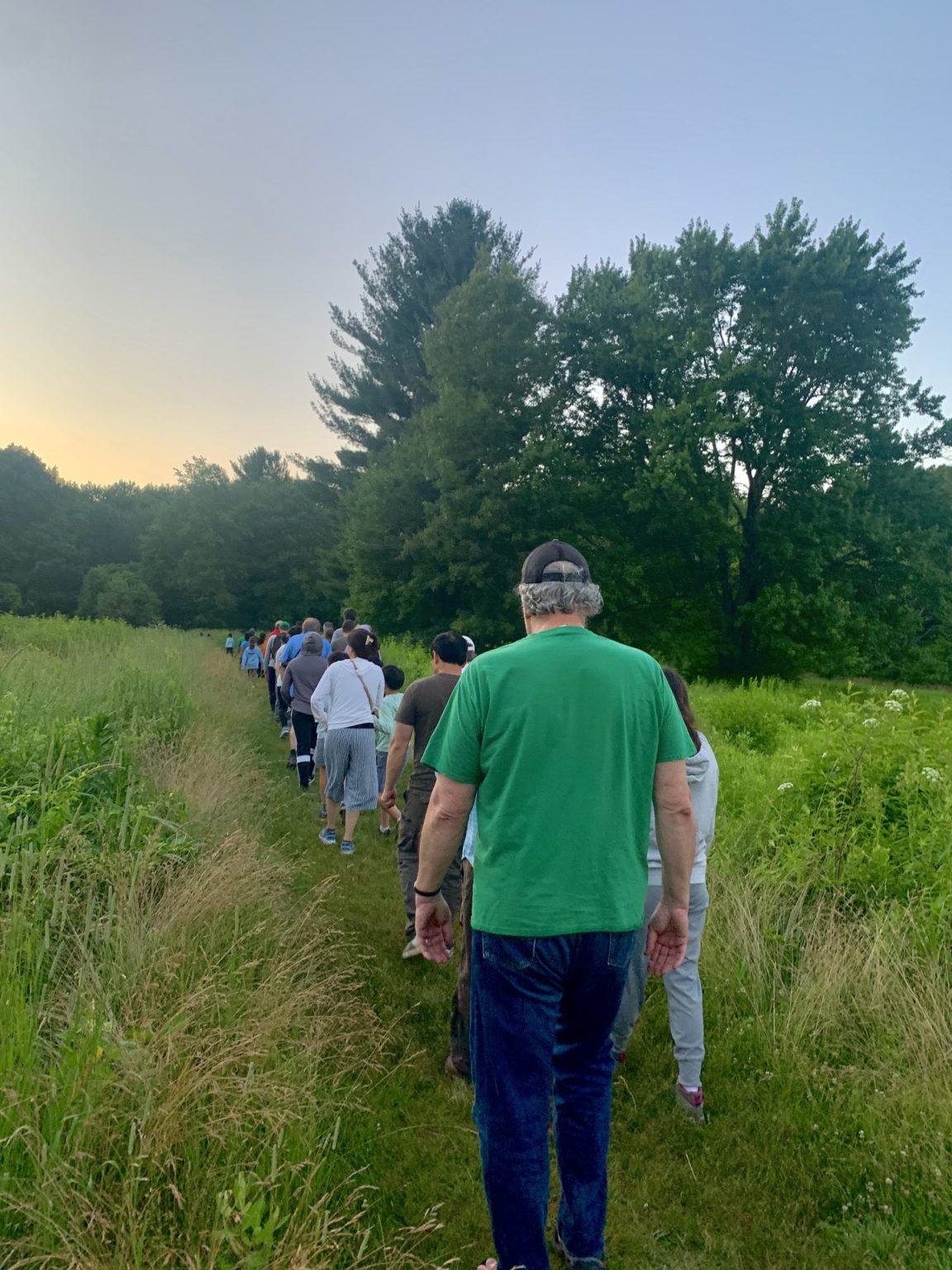 Wellesley Conservation Land Trust presents Annual Firefly Walk - The ...
