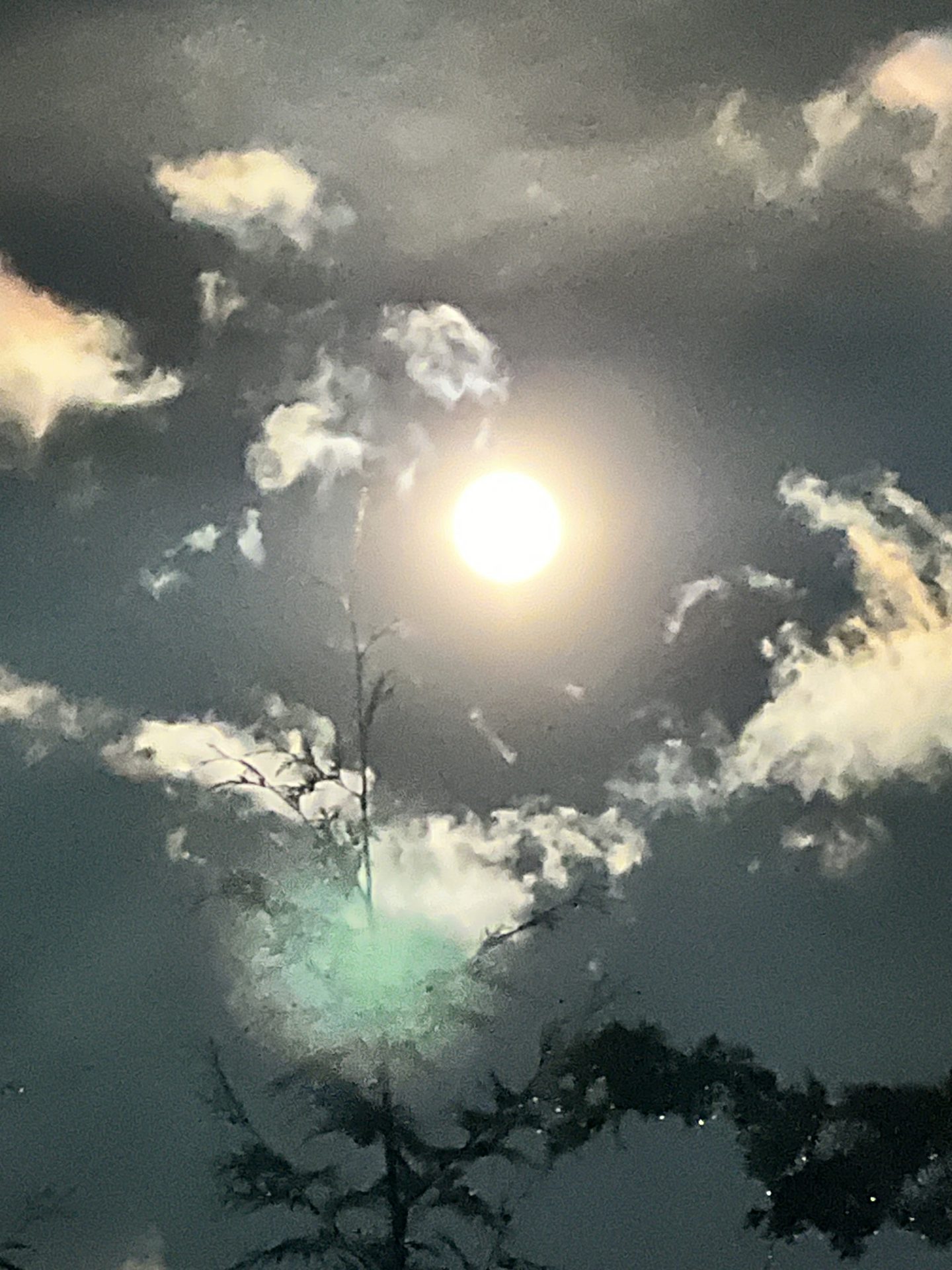 Super Blue Moon over Wellesley - The Swellesley Report