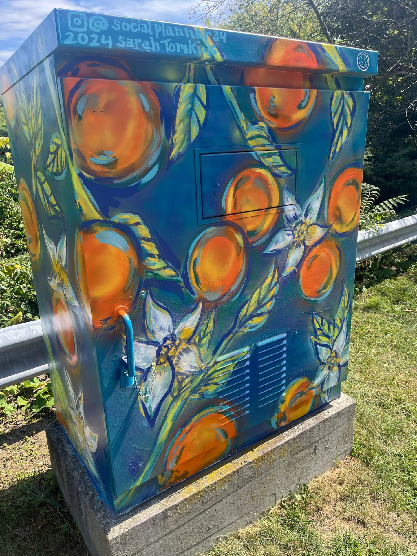 One more new Wellesley traffic box painting - The Swellesley Report