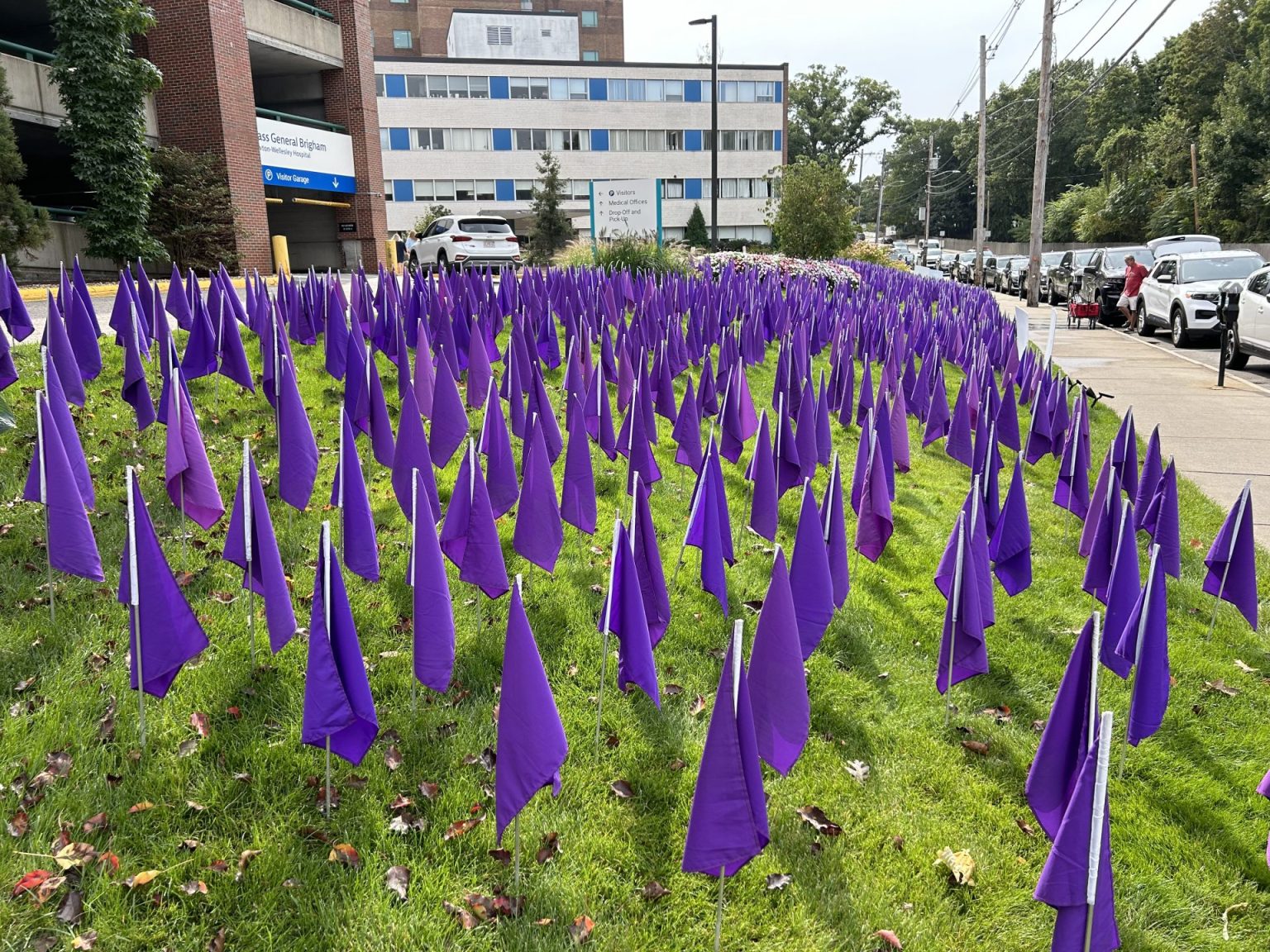 Purple Flag Ceremony in honor of National Recovery Month - The ...