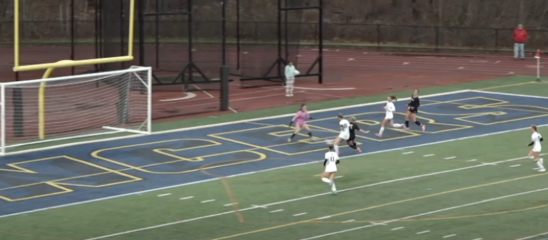 Wellesley High girls' soccer team wins Division 1 state title by 3-1 ...
