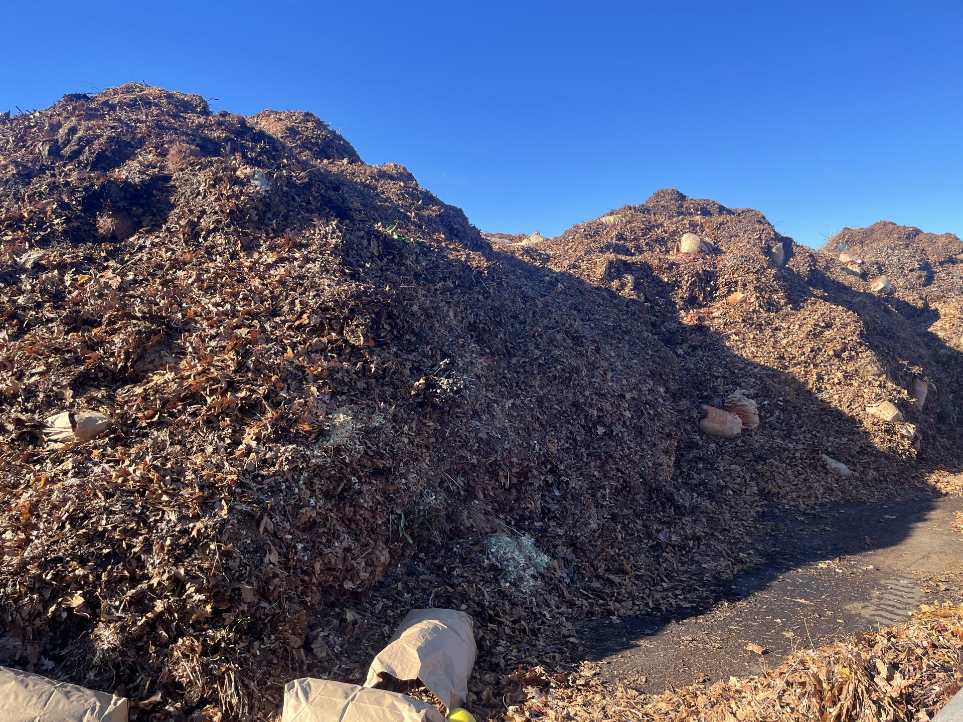 Wellesley's humongous leaf mountain range begging for a name - The ...