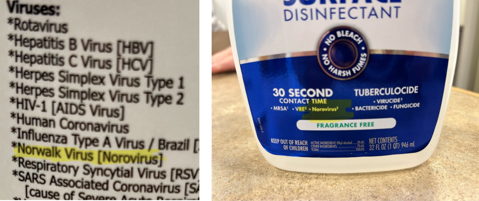 Norovirus: What YOU Need to Know from the Wellesley Health Department ...