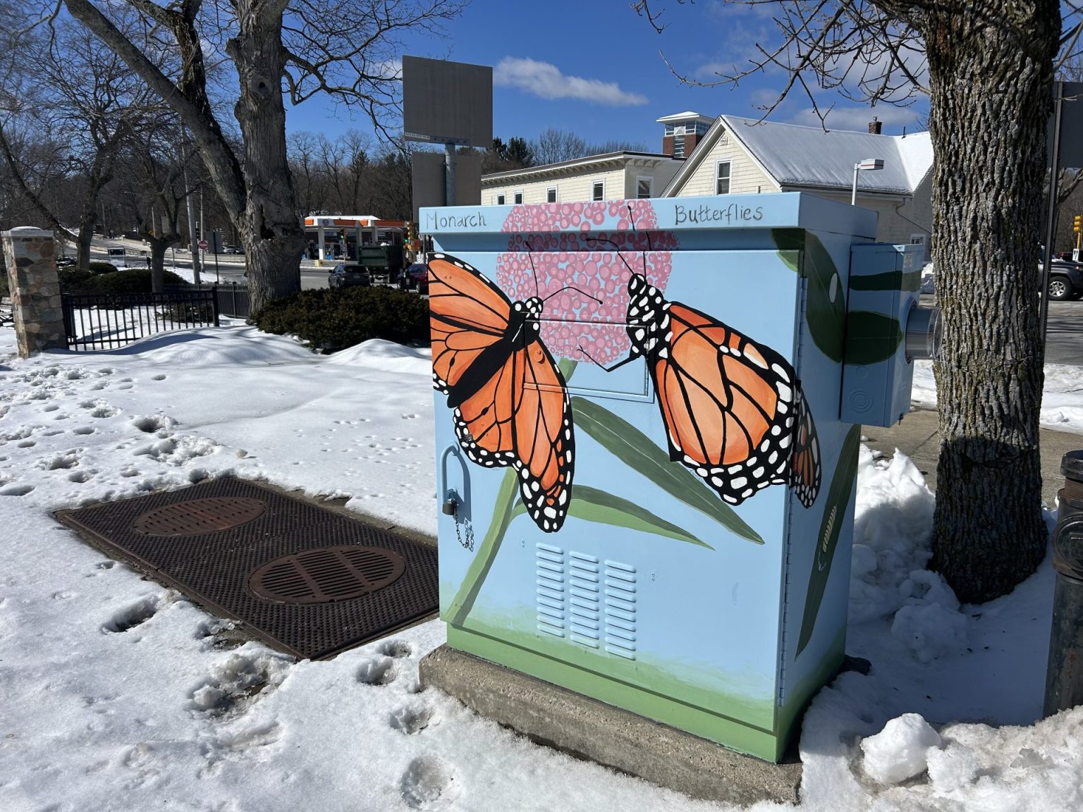 Artists needed to paint Wellesley traffic boxes for this perennial ...
