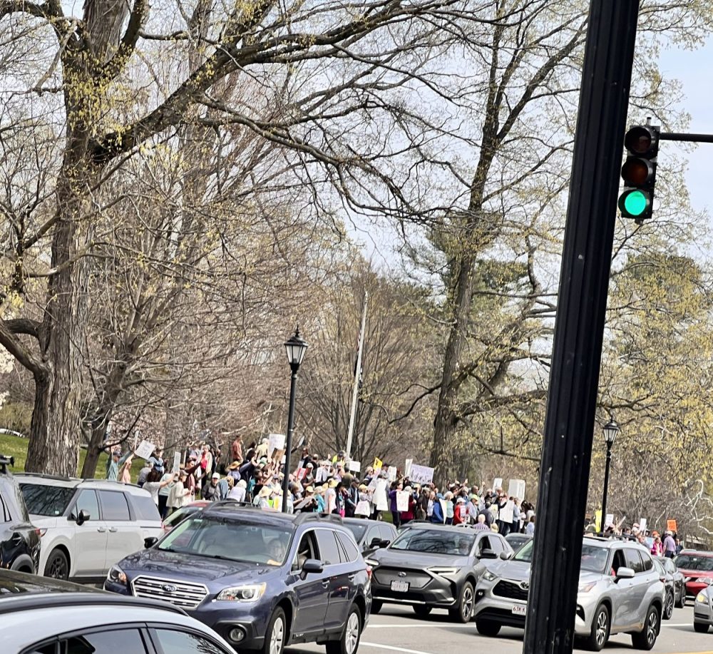 'No Kings Day' rally held in front of Wellesley Town Hall - The ...