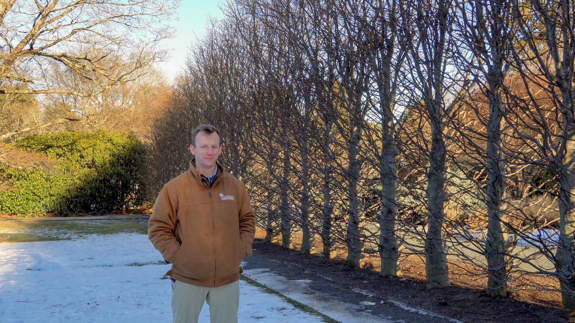 Bartlett Tree Experts—trusted to care for European Beech Trees at ...