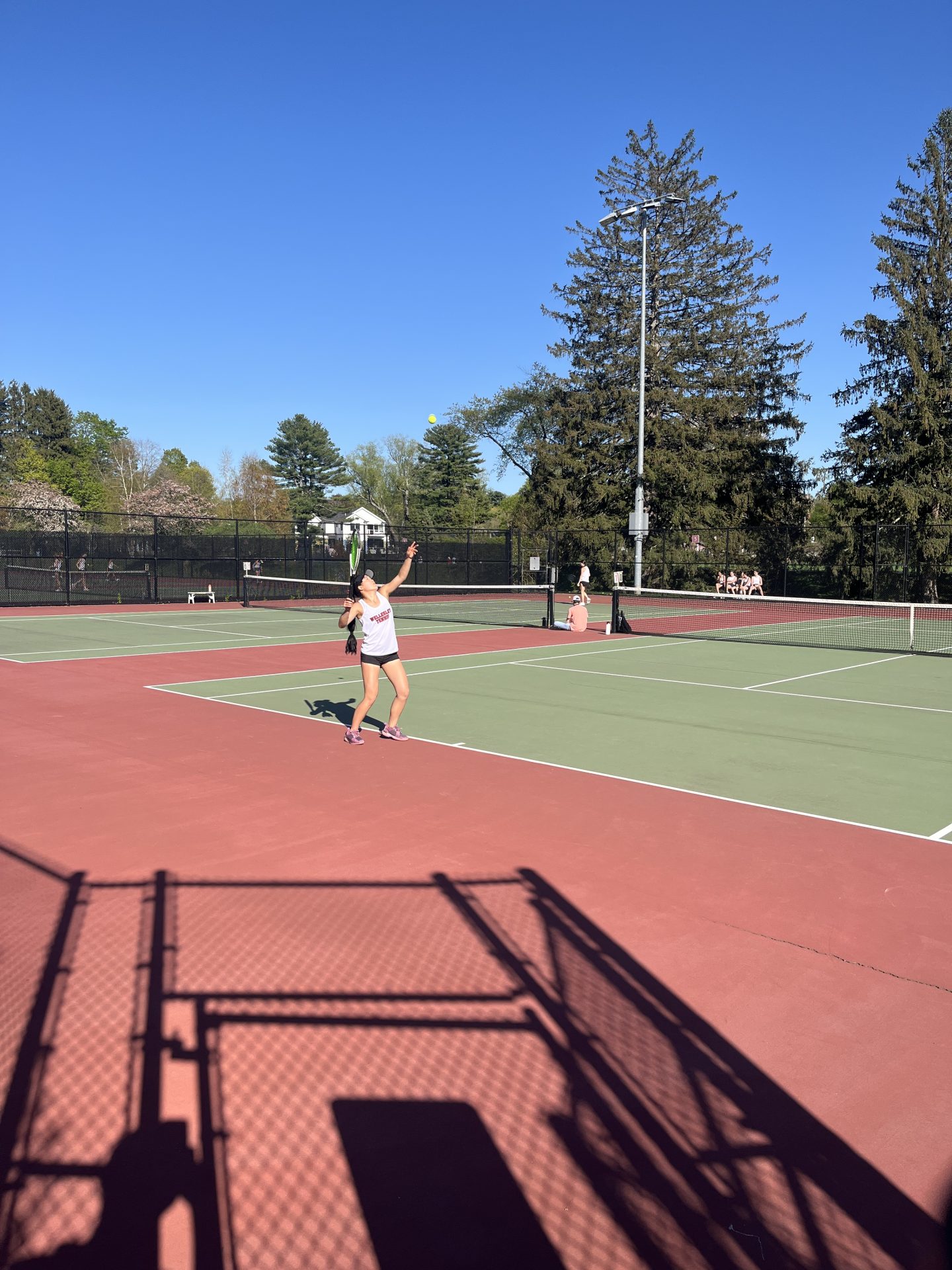 Wellesley High sports tripleheader: Girls tennis, softball, boys ...