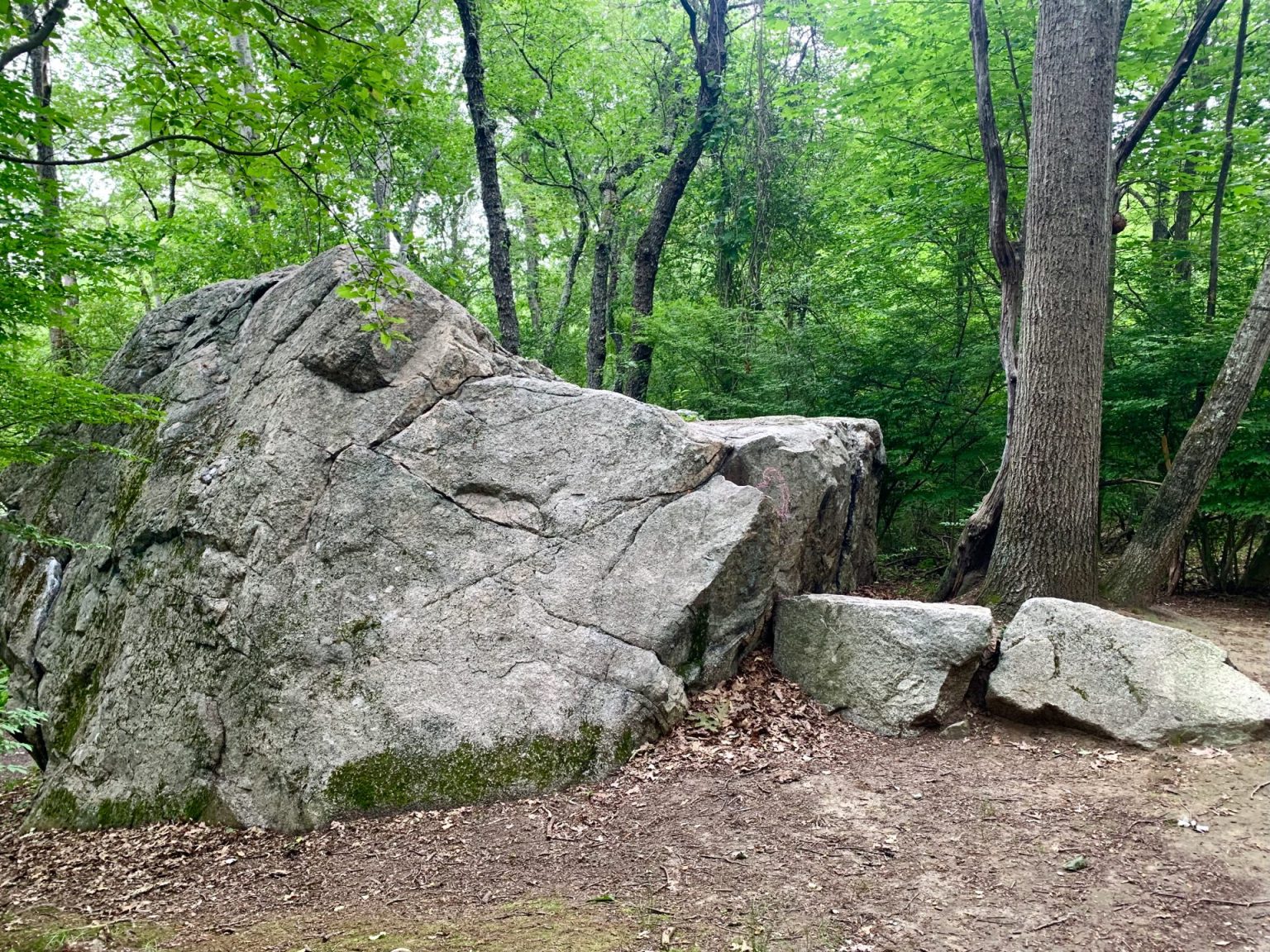Summer in Wellesley—a hike through Boulder Brook Reservation - The Swellesley Report