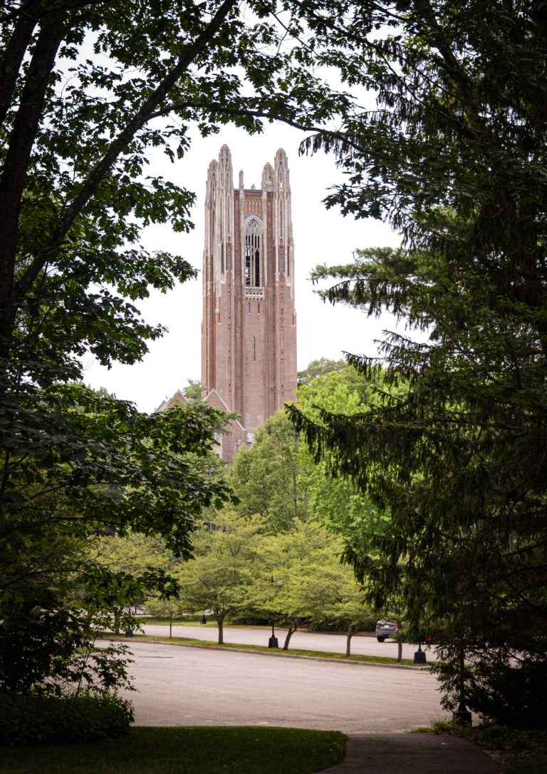 Showcasing Wellesley College's birds, trees, buildings, and more trees ...