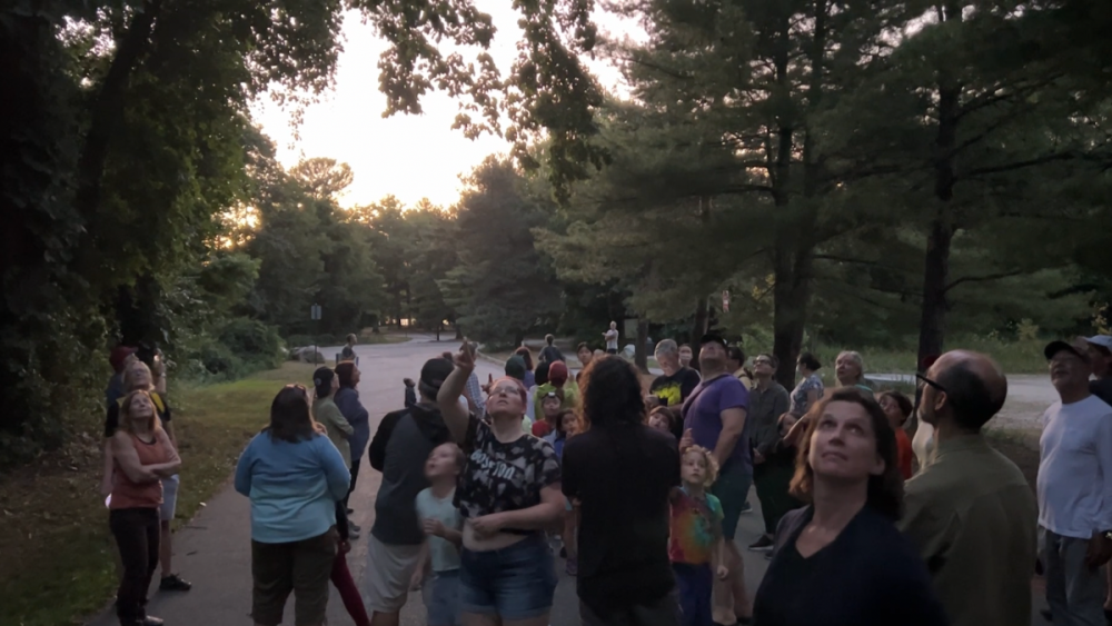 Bat Walk on Aug. 13, sponsored by Wellesley Conservation Land Trust ...