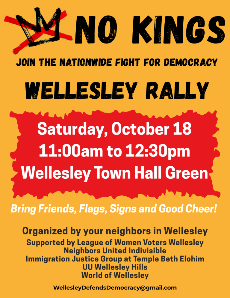 NO KINGS Rally - The Swellesley Report
