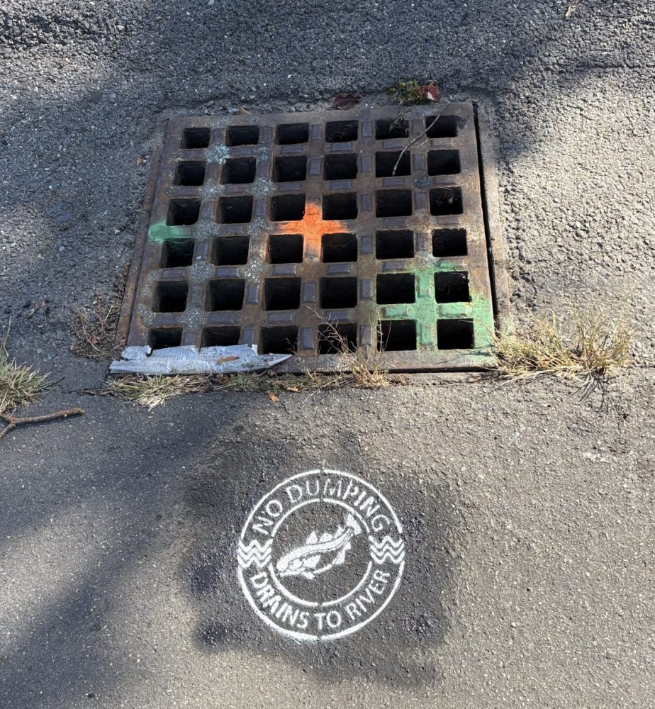 Epic Wellesley Eagle Scout project involved labeling 200-plus storm ...