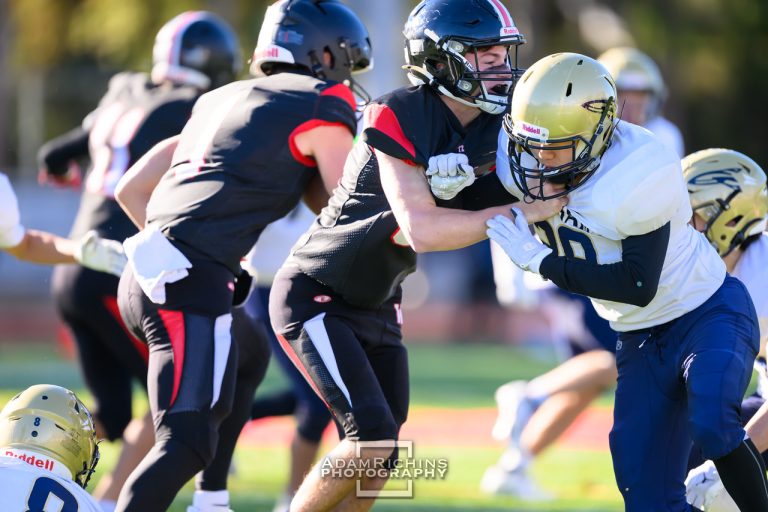Wellesley tops Needham at Thanksgiving football game to finish season ...