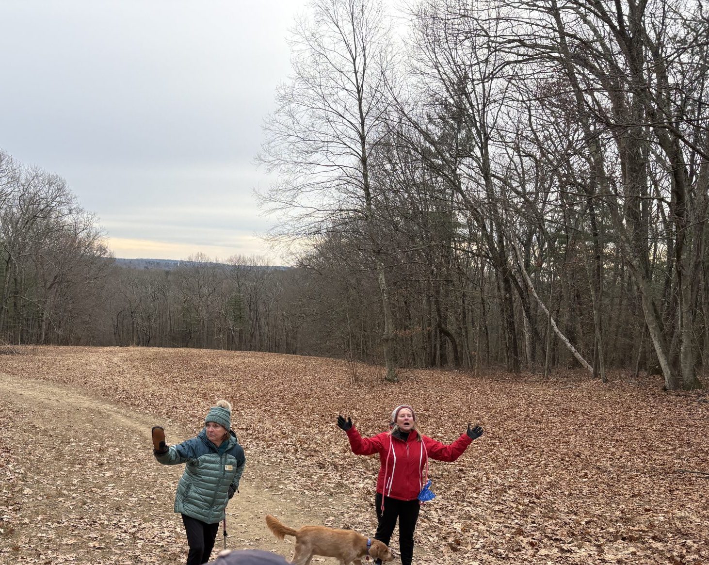 Wellesley Select Board agenda includes items related to possible ...