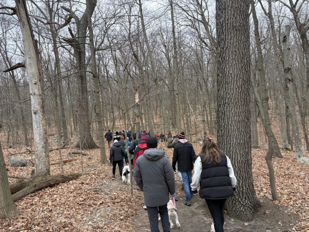 Wellesley Select Board agenda includes items related to possible ...