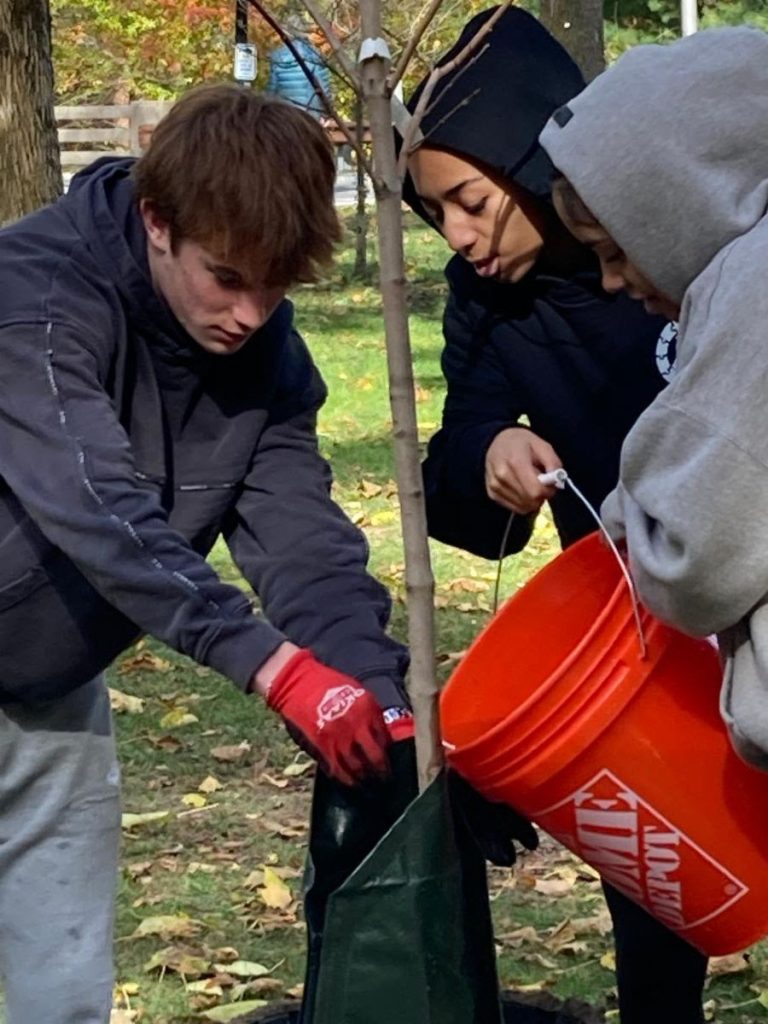 Free trees—Wellesley Evolutions students to partner with NRC - The ...